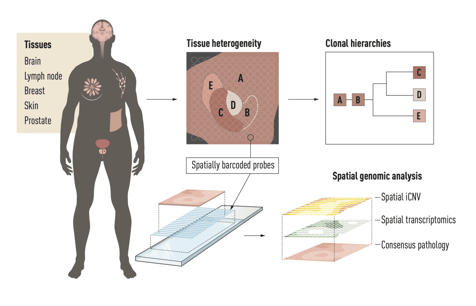 Highlights in Cancer Research: November 2022 - The Cancer Researcher