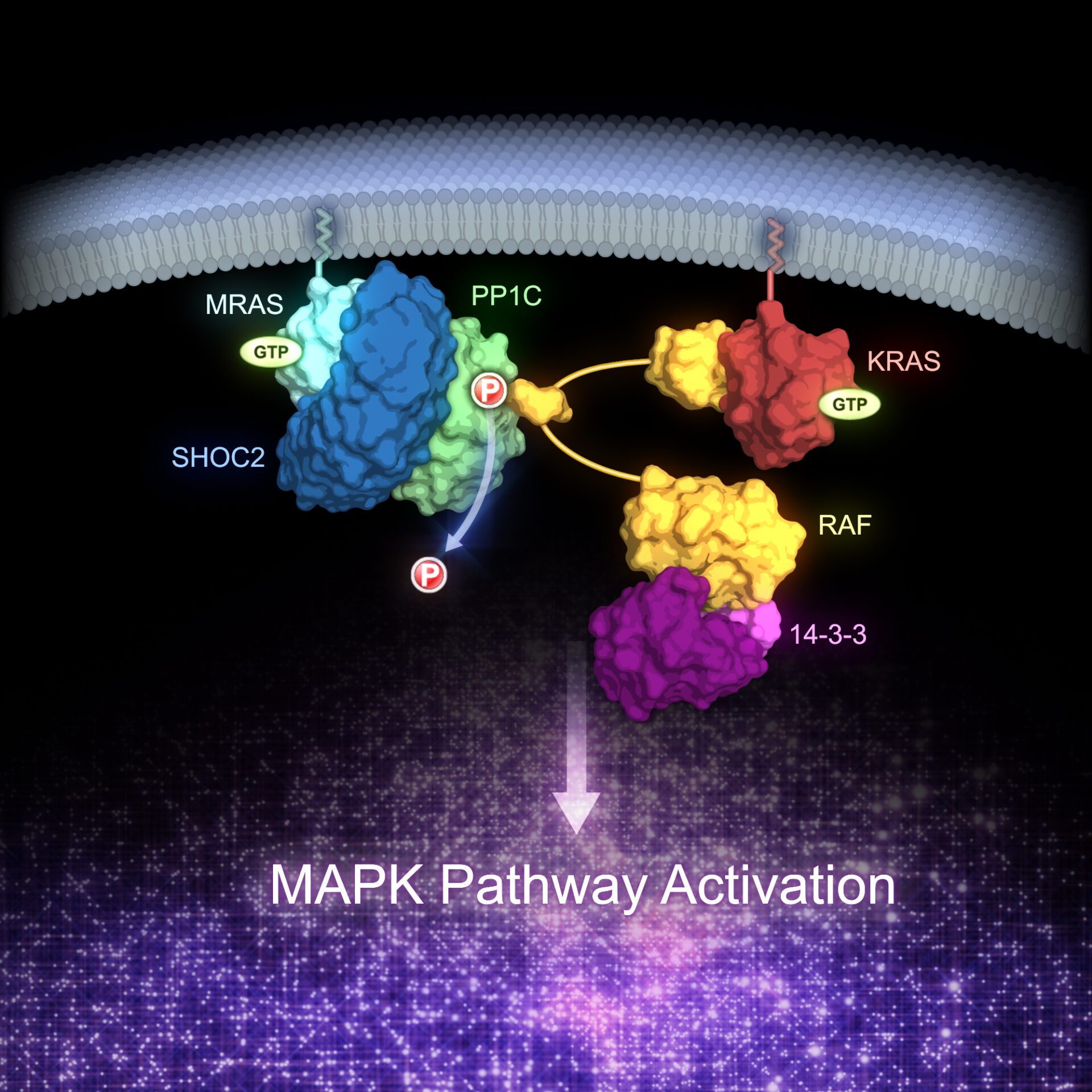 Highlights in Cancer Research: November 2022 - The Cancer Researcher