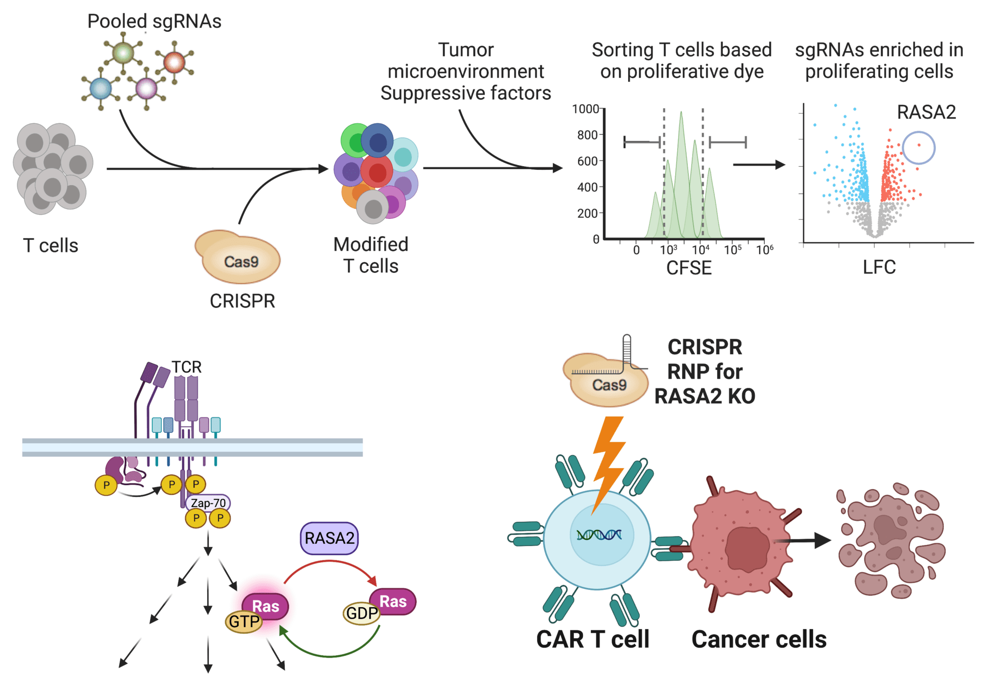 Highlights in Cancer Research: January 2023 - The Cancer Researcher
