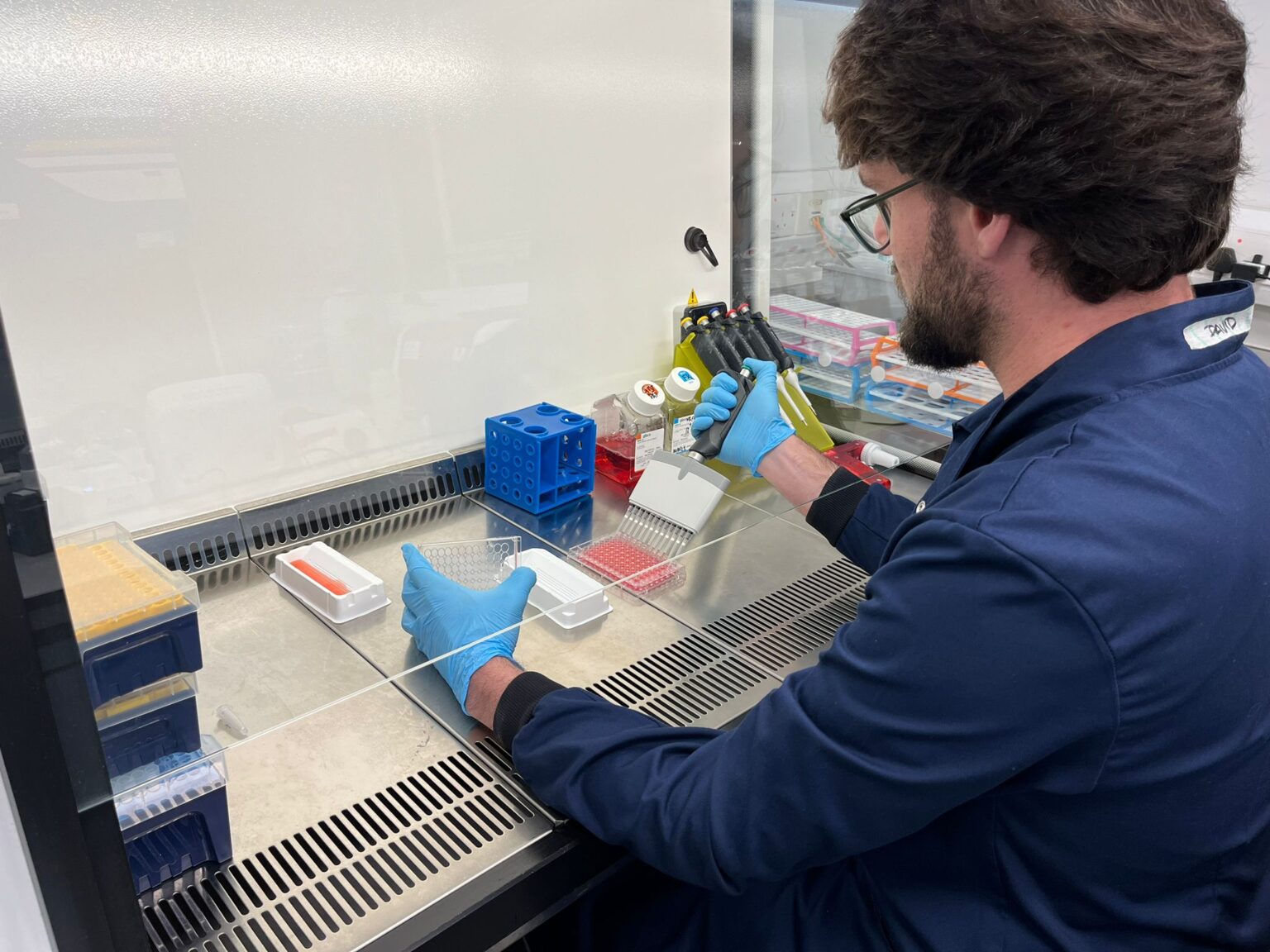 "This research placement has been a transformative experience": David ...