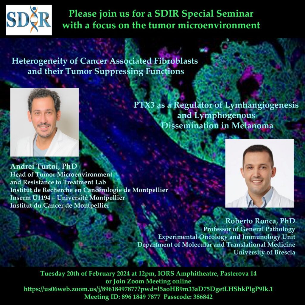 Spotlight on the Serbian Association for Cancer Research (SDIR) - The ...